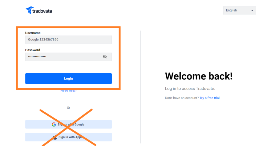How Do I Disable Sign On with a Google ID or Apple ID?
