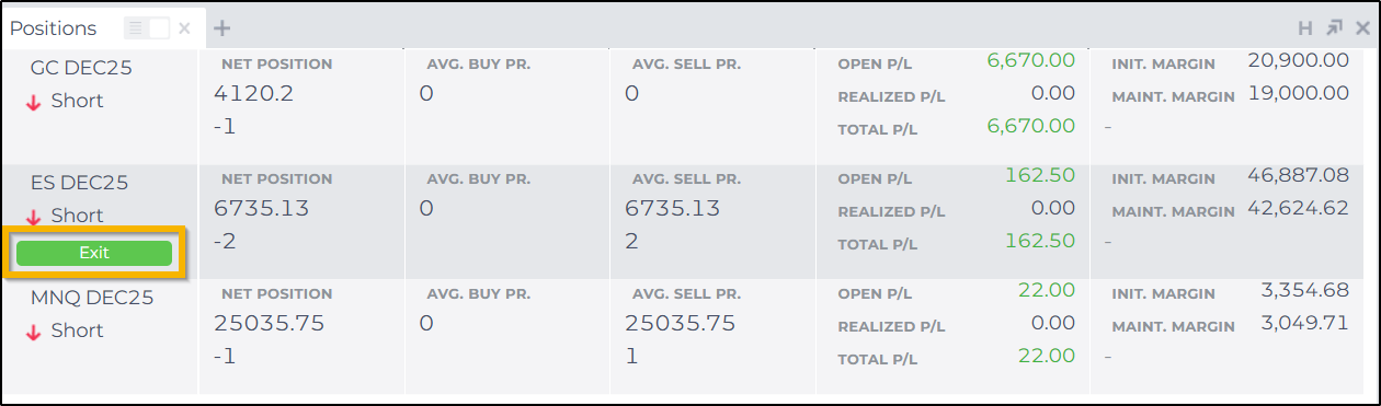 Positions Module - NinjaTrader Web